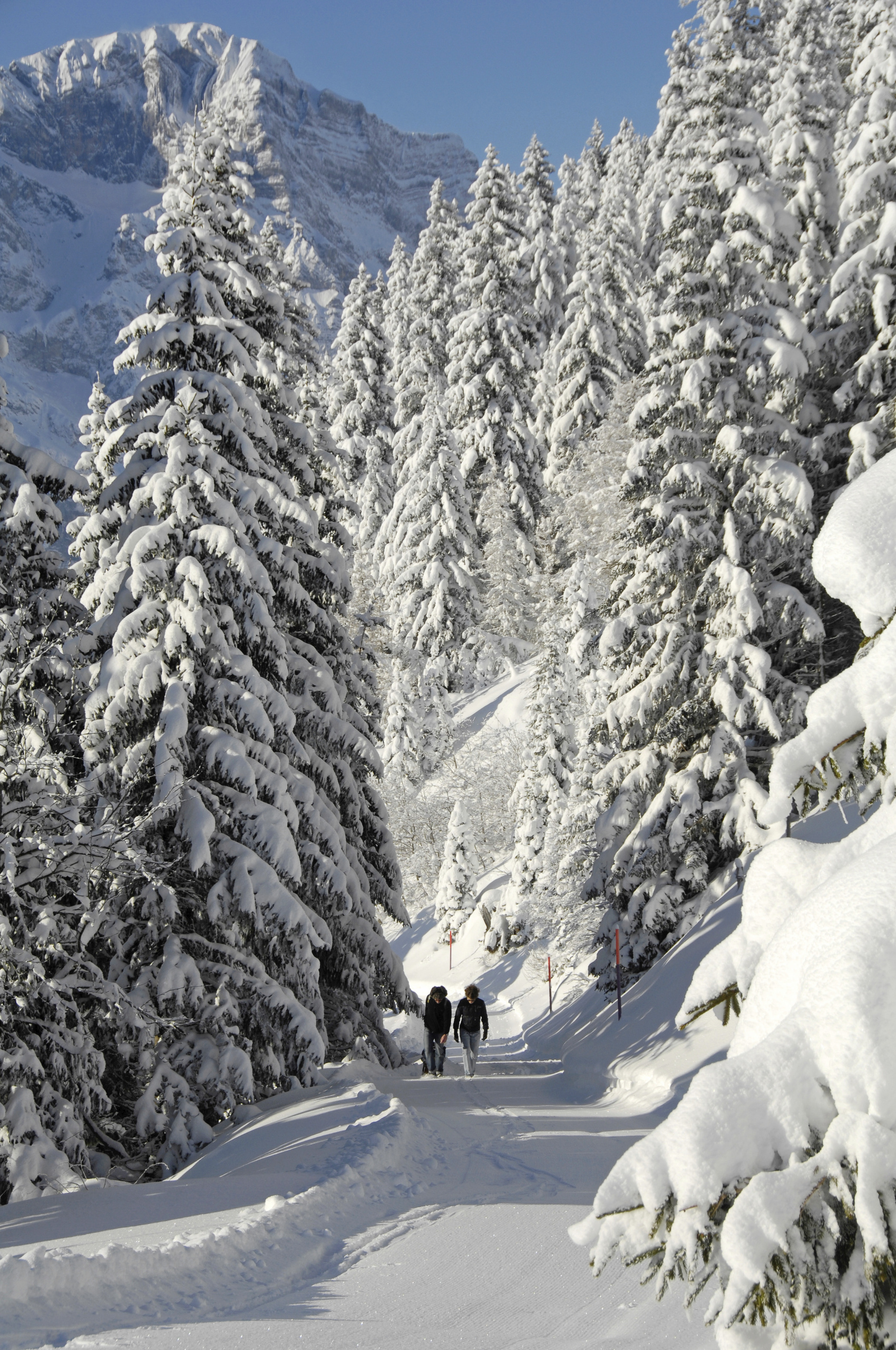 Snowy Holiday Destinations: 6 Snow-Kissed Wonders