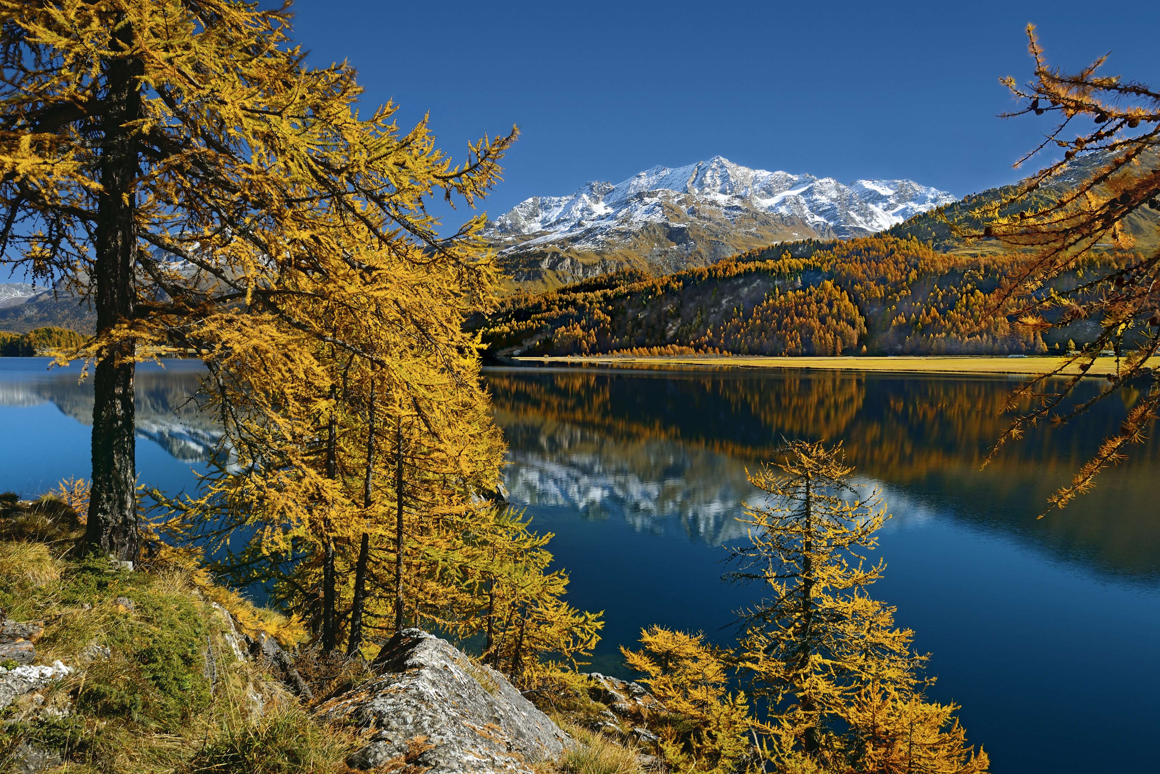 The Ultimate Engadin Family Summer Guide – Adventure, Nature & Fun